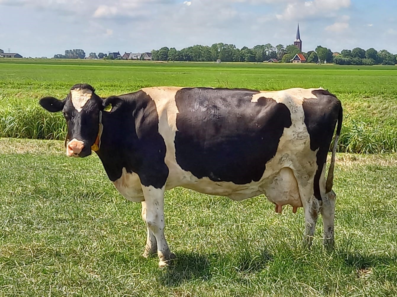 HISKE 2 - Melkcontrole Vereniging Nijland