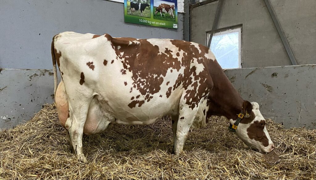 GEPKE 69 - Melkcontrole Vereniging Nijland